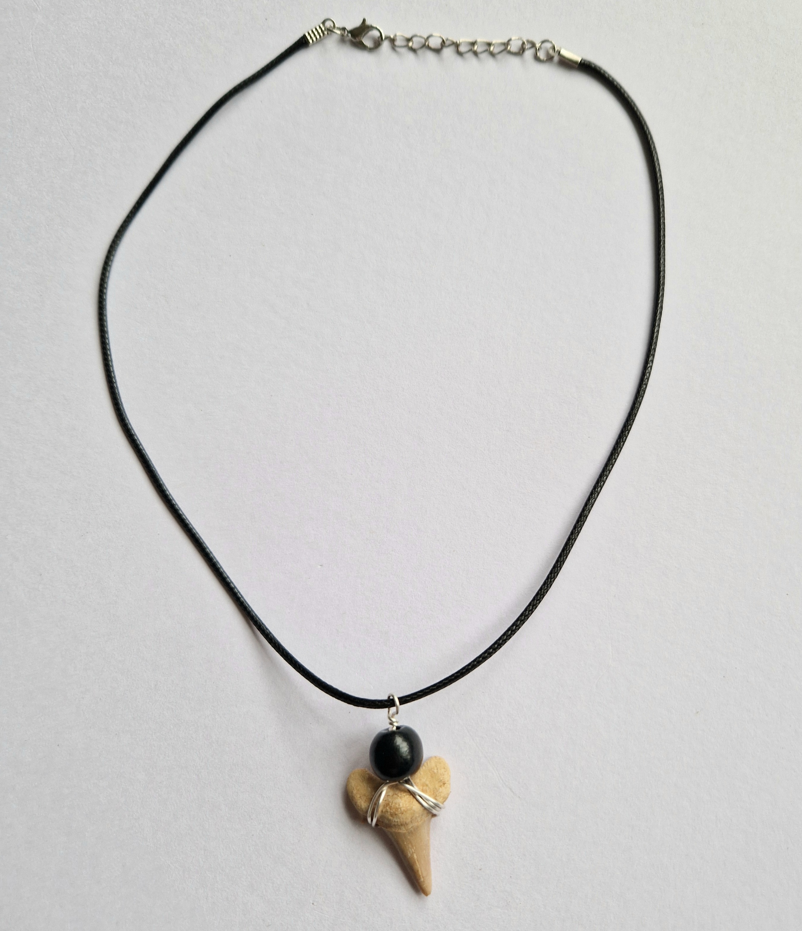 Shark Tooth Pendants | Authentic Fossil Jewellery – Jurassic Jewellery