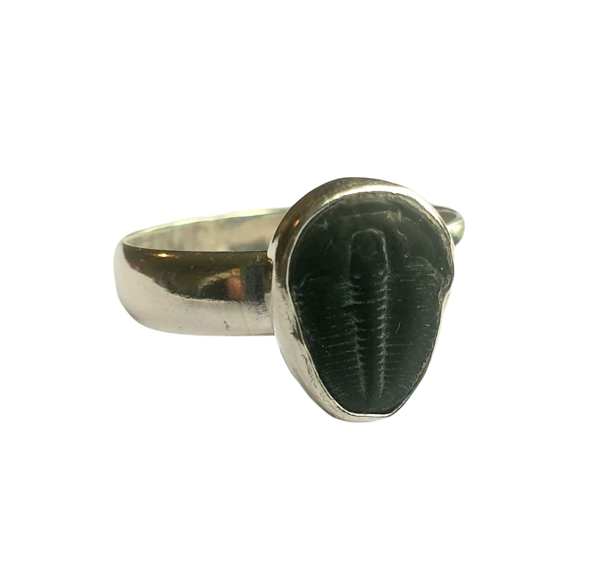 Fossil Rings – Genuine Natural History Jewellery Collection