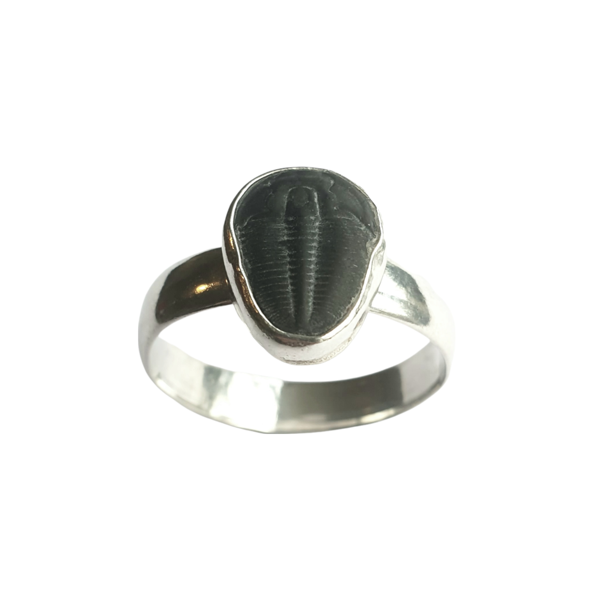 Fossil Rings – Genuine Natural History Jewellery Collection
