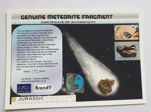 Genuine Stone Meteorite - Card Mounted