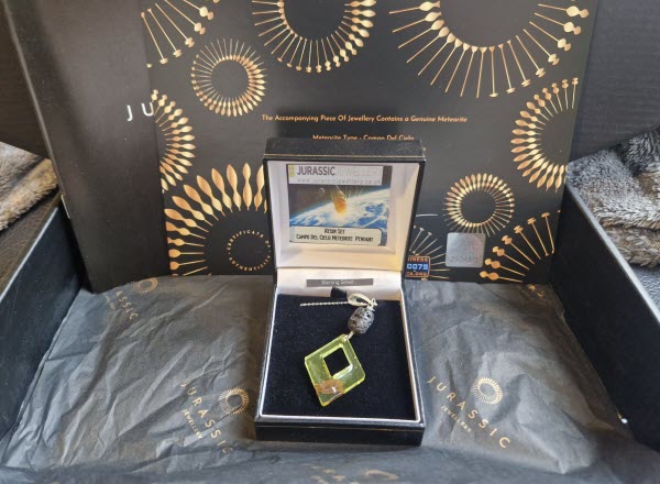 Resin Set Iron Meteorite Necklace - With fossil Mammoth Bone Bead