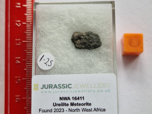 Superb Boxed Stone Chondrite Meteorite