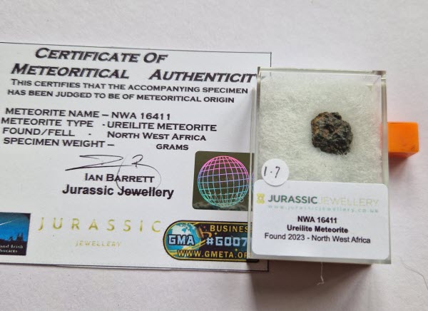 Achondrite Meteorites | Authentic Space Rocks – Jurassic Jewellery