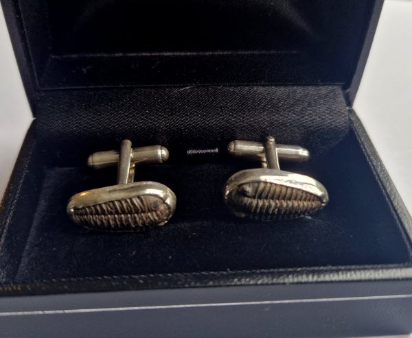Fossil Cufflinks | Authentic Prehistoric Jewellery – Jurassic Jewellery