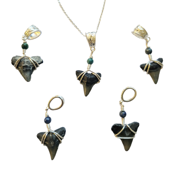 Shark Tooth Pendants | Authentic Fossil Jewellery – Jurassic Jewellery