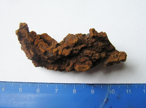 Fantastic Marine Reptile Coprolite - Fossil Poo from China. Great ...