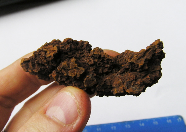 Fantastic Marine Reptile Coprolite - Fossil Poo from China. Great ...