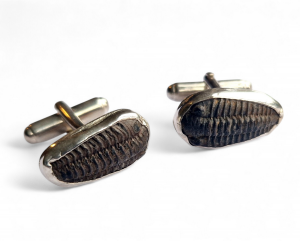 Fossil Cufflinks | Authentic Prehistoric Jewellery – Jurassic Jewellery